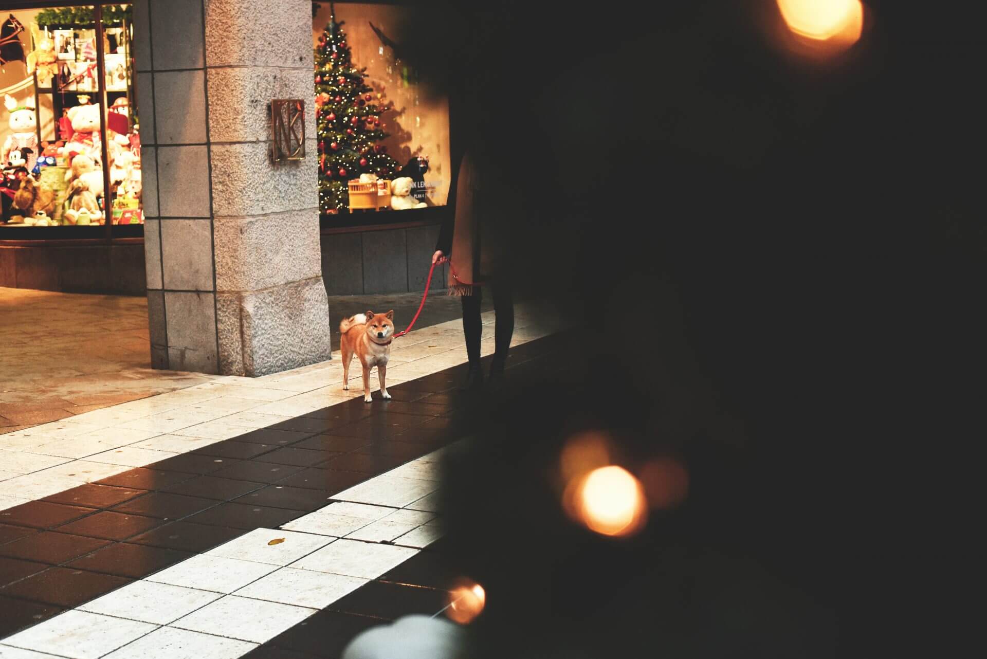 Denjo Dogs pop up store @ NK Stockholm - Denjo Dogs