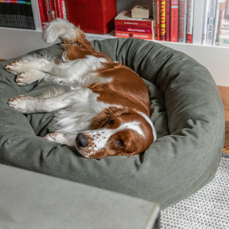 Luxury dog beds, stylish dog clothing and smart dog accessories - Denjo ...