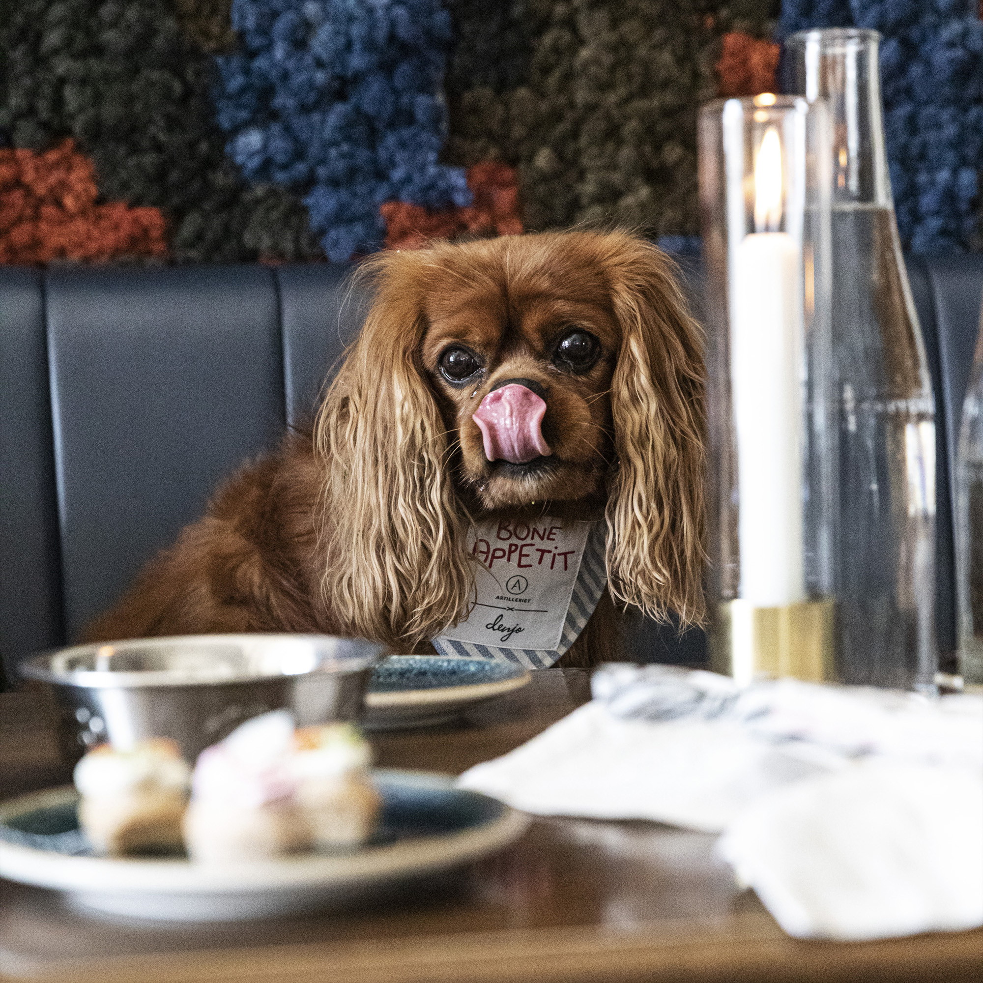 Denjo Dogs x Artilleriet – Denjo Dogs