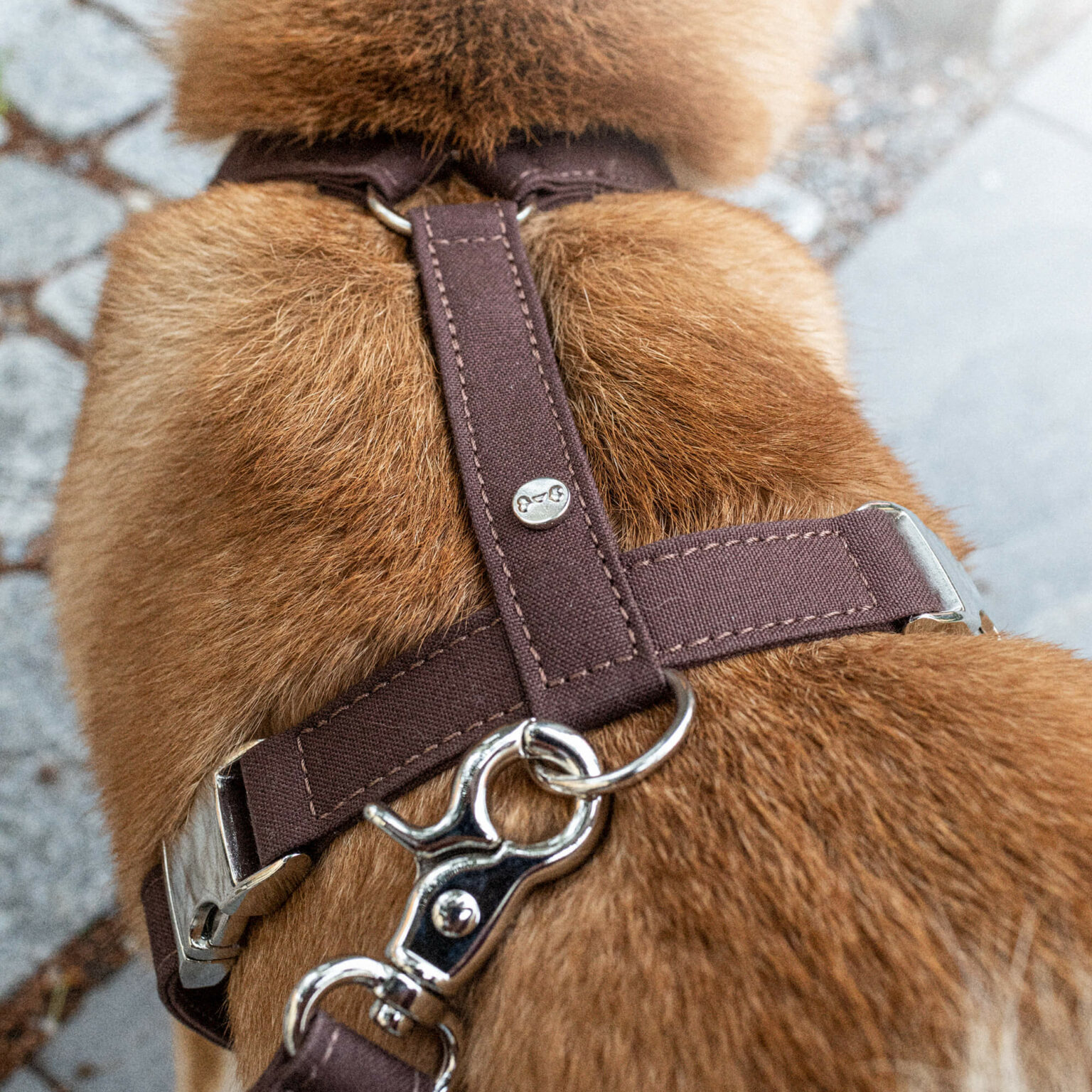 Luxury dog beds, stylish dog clothing and smart dog accessories - Denjo ...