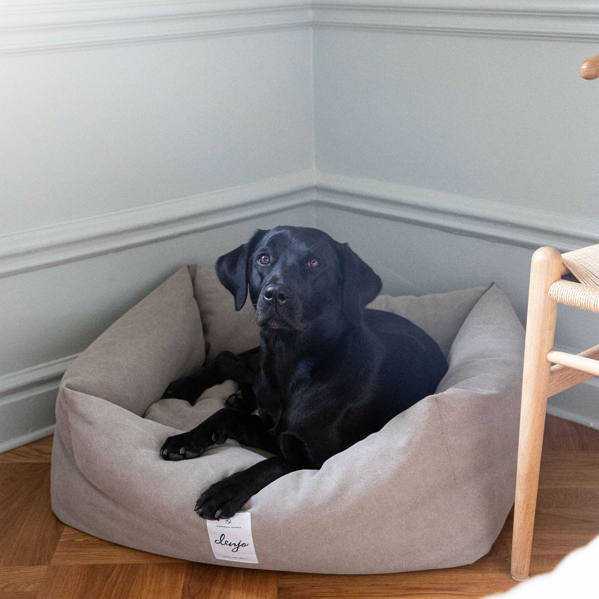 Hållbara & funktionella hundprodukter i stilren design - Denjo Dogs