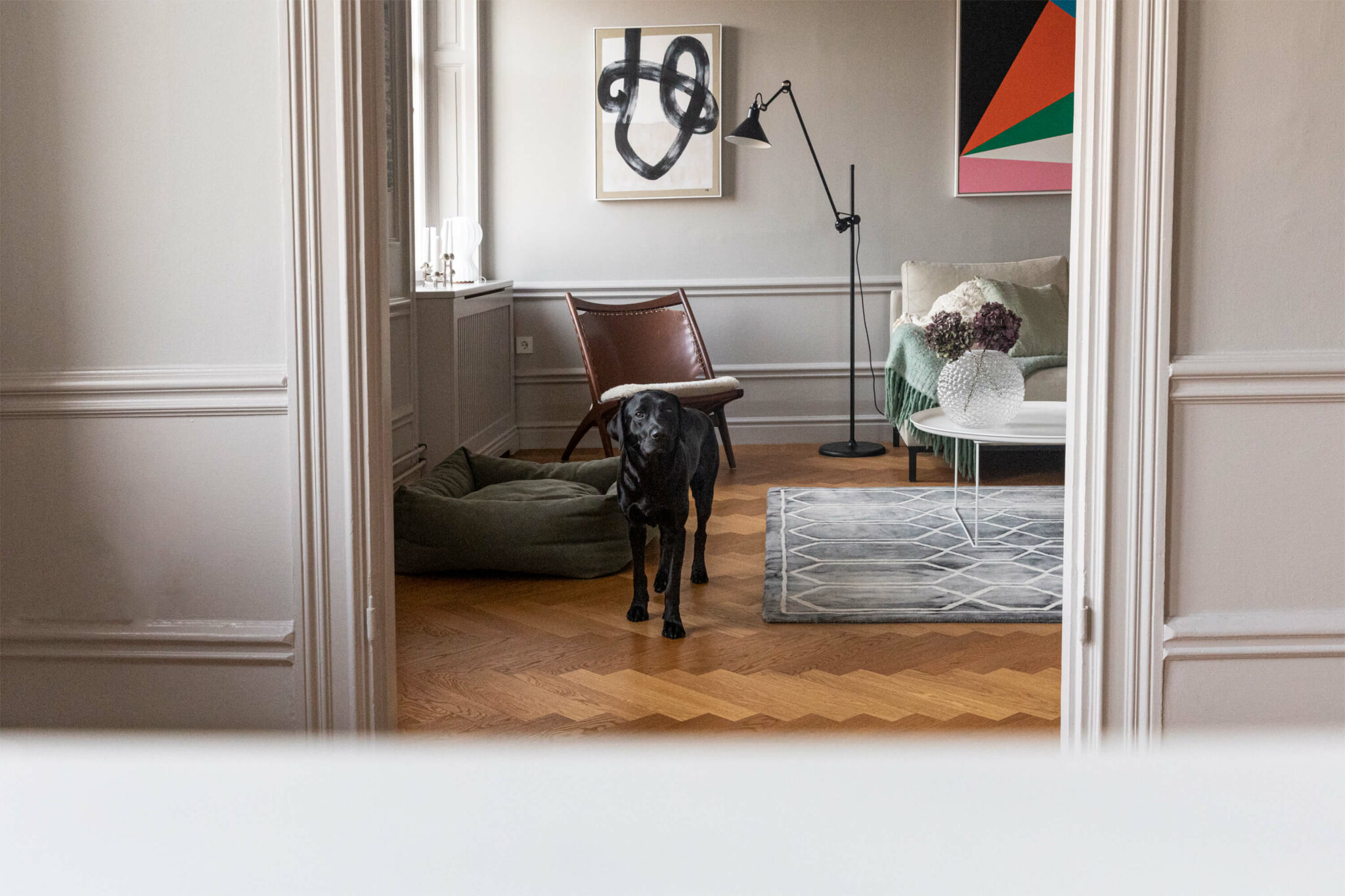 Hållbara & funktionella hundprodukter i stilren design - Denjo Dogs