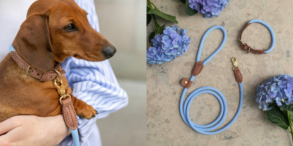 Hållbara & funktionella hundprodukter i stilren design - Denjo Dogs