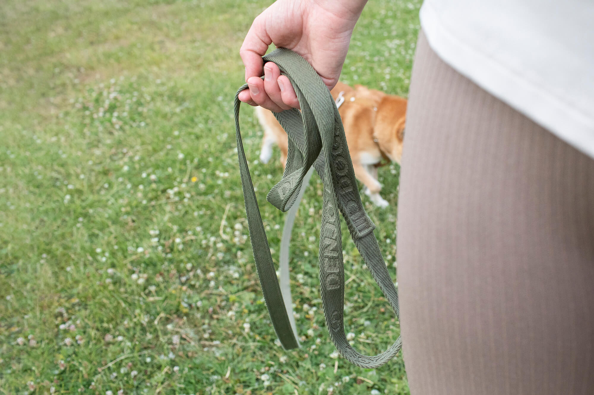 Everyday Logo – Denjo Dogs