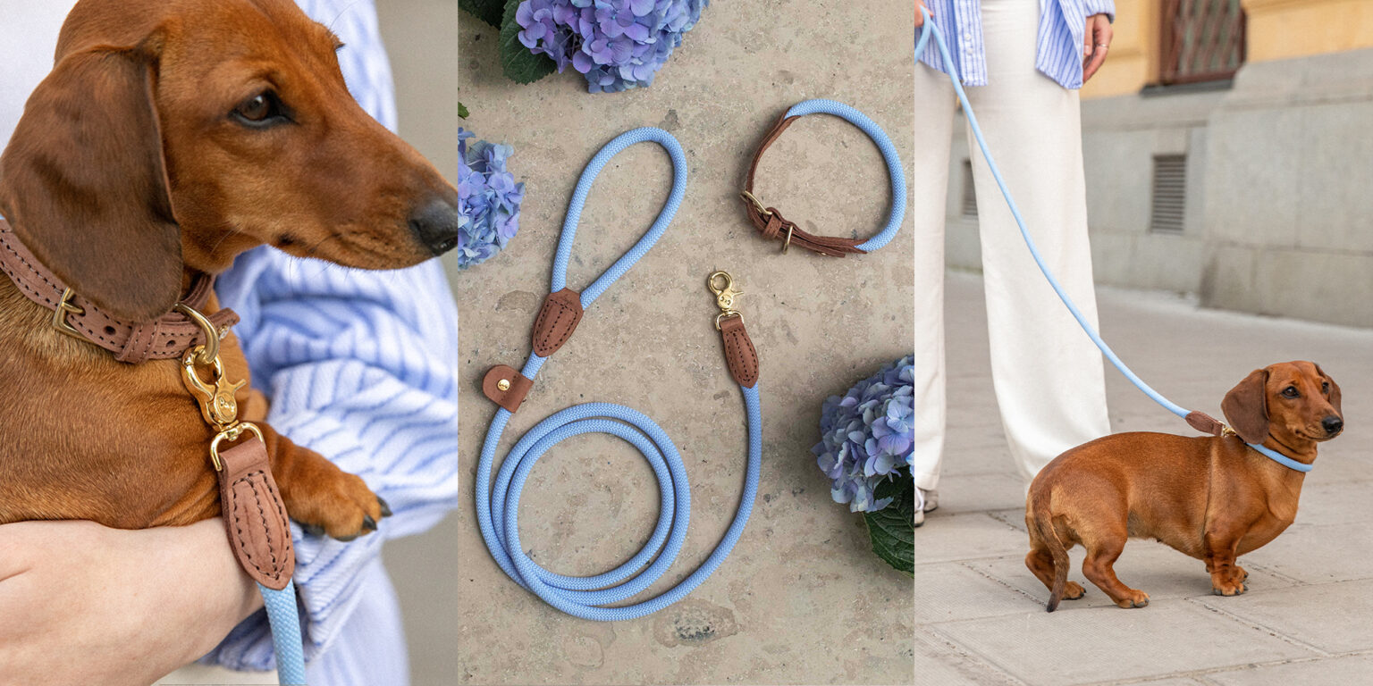 Luxury dog beds, stylish dog clothing and smart dog accessories - Denjo ...