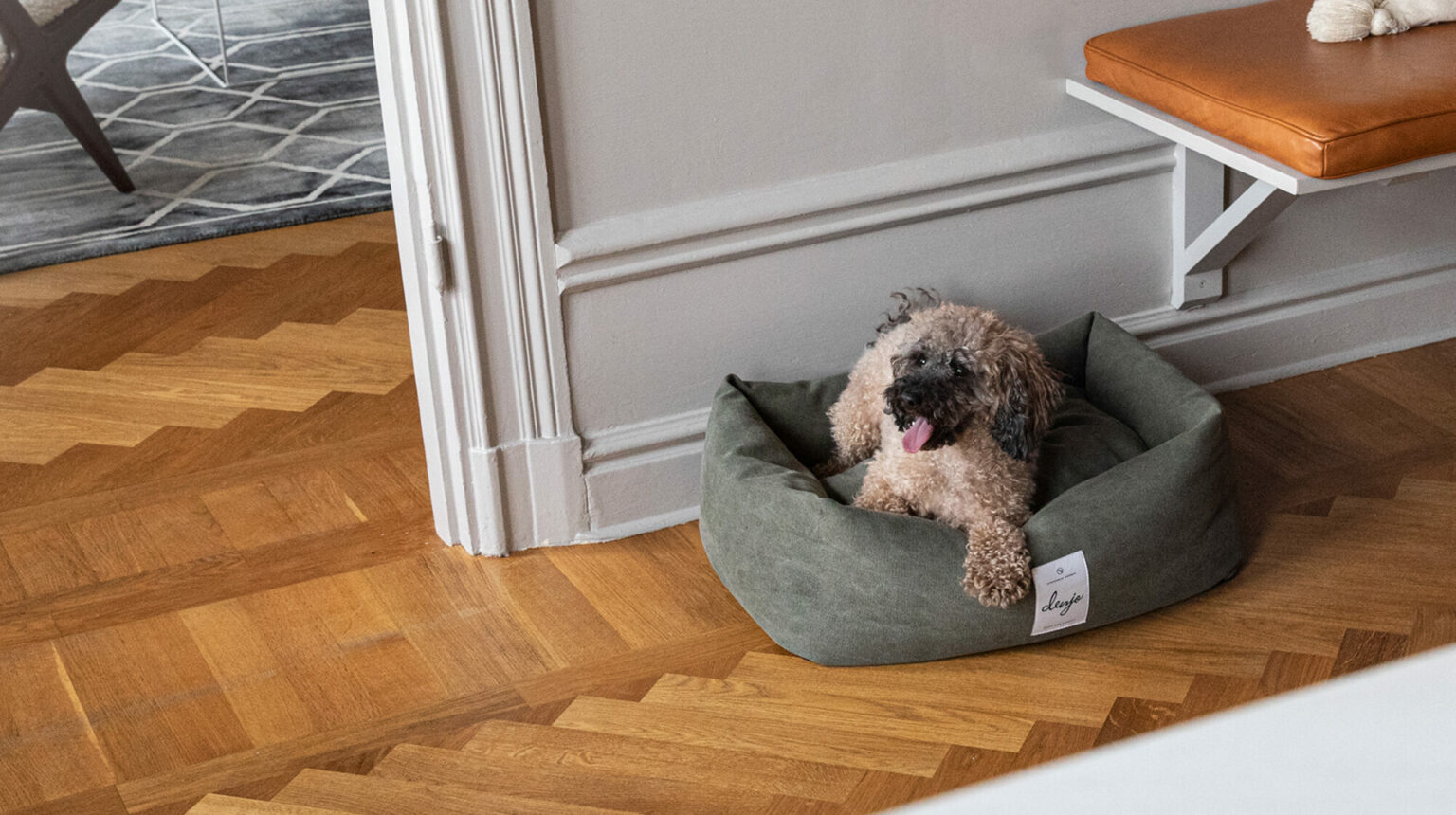 Hållbara & funktionella hundprodukter i stilren design - Denjo Dogs